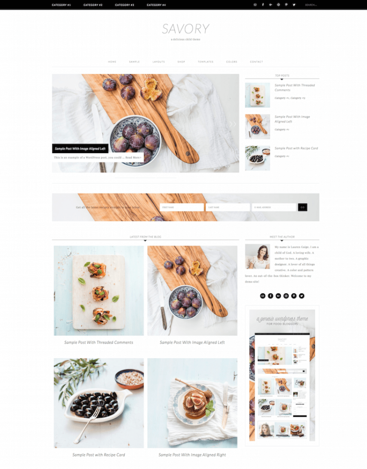 26 Best Food Blogging WordPress Themes | BeginDot
